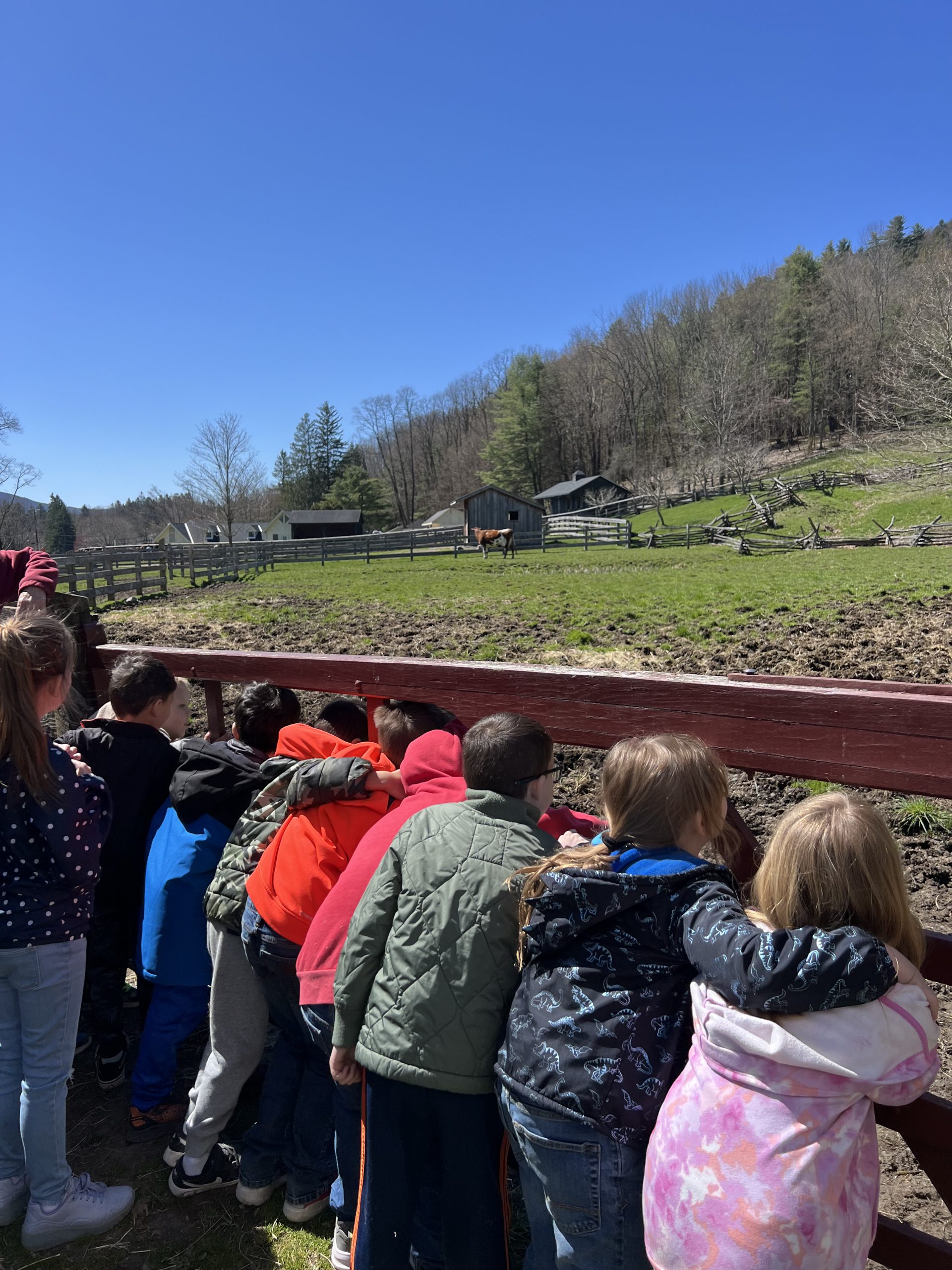 Experiential Learning Opens the World for Students - Middleburgh ...