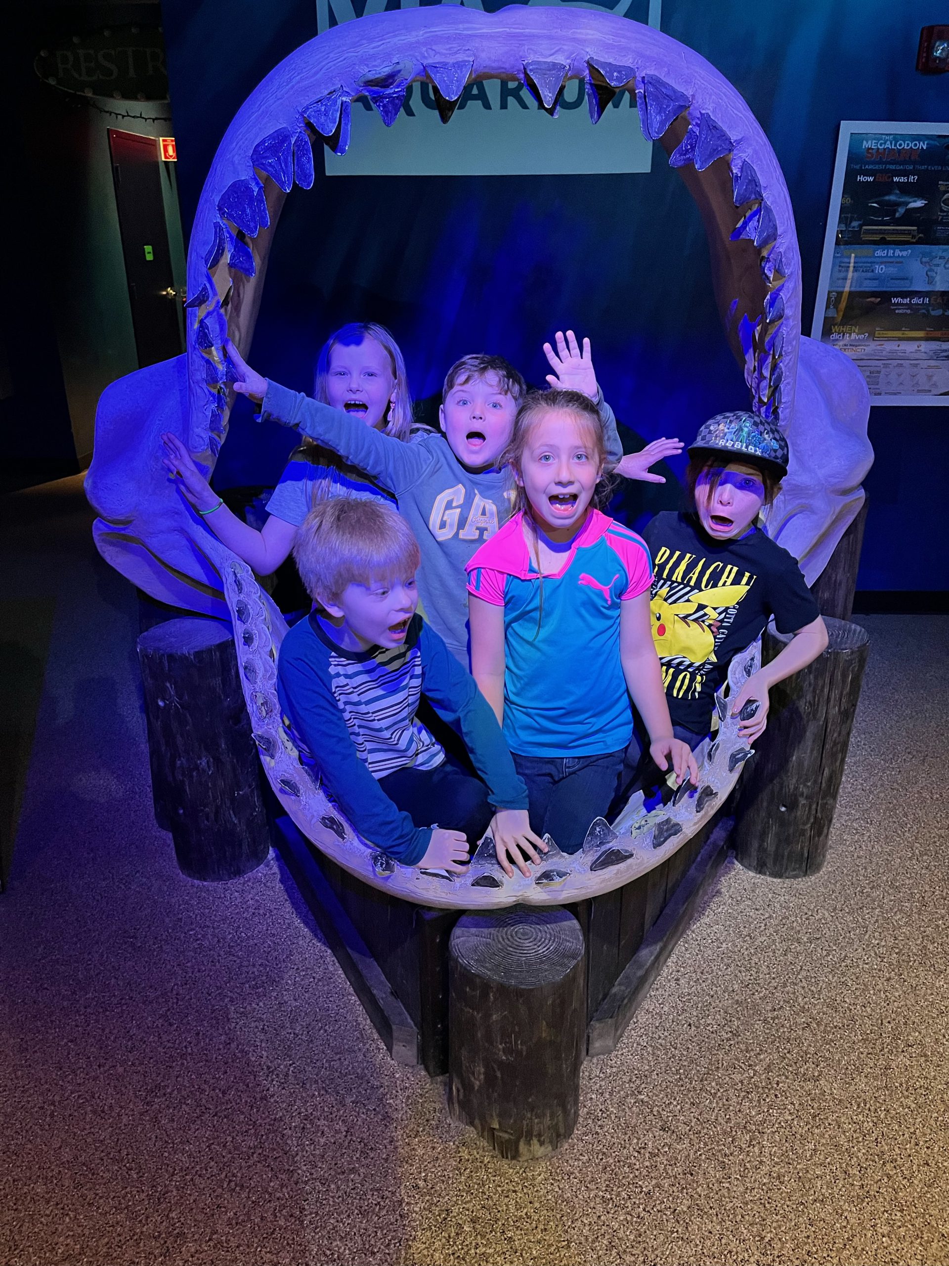 Experiential Learning Opens the World for Students - Middleburgh ...